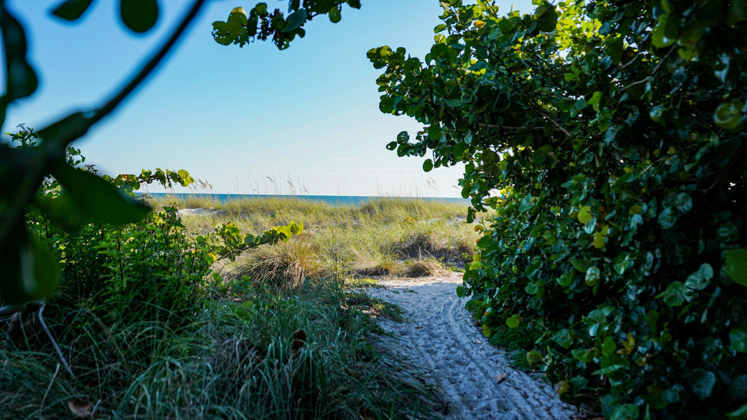 A Guide to Hidden Gems and Local Favorites: Plan Your Family Trip to ...
